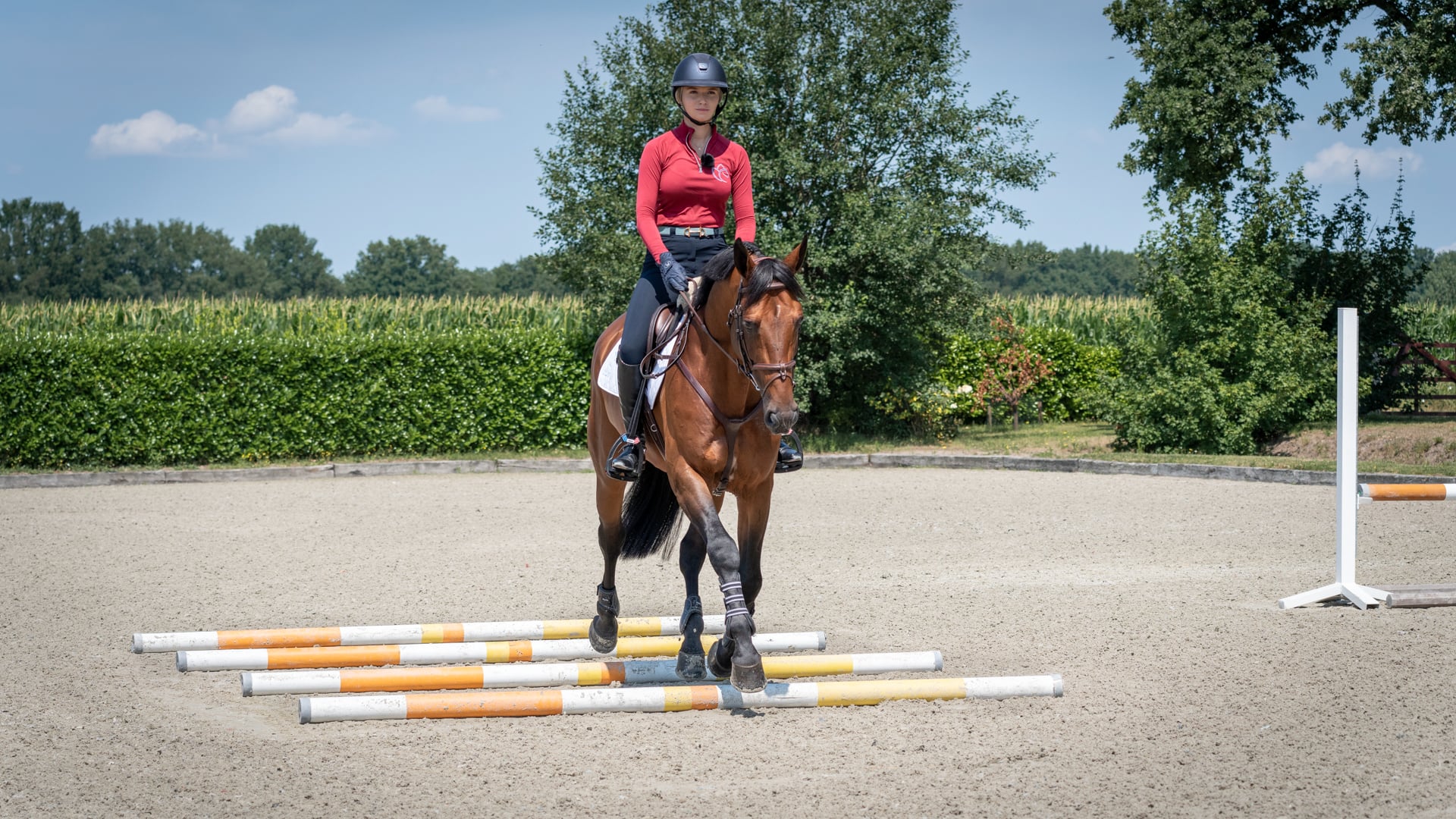 Improving Seat Connection with Trot Poles | Ridely