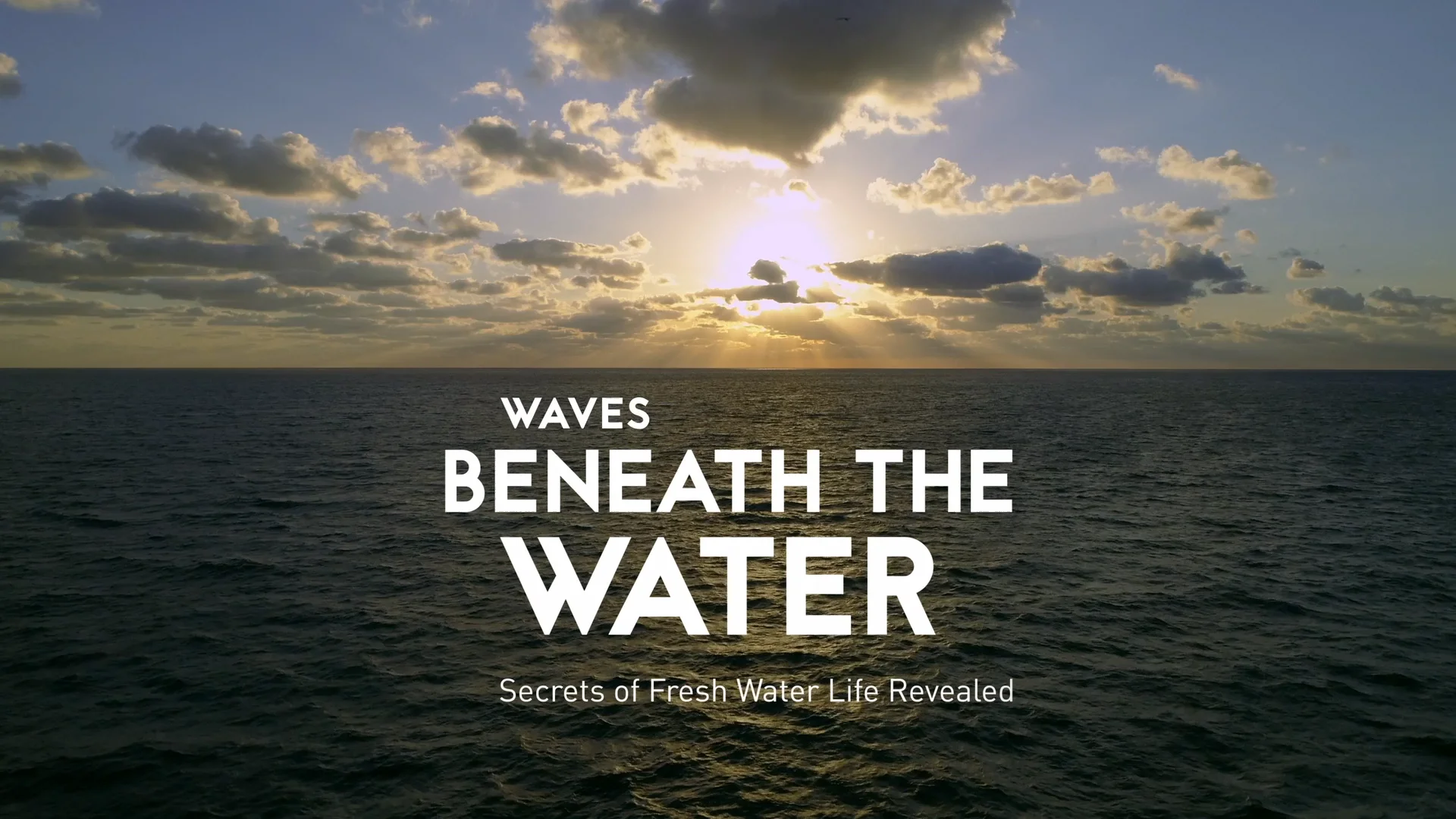 opening WBTW on Vimeo