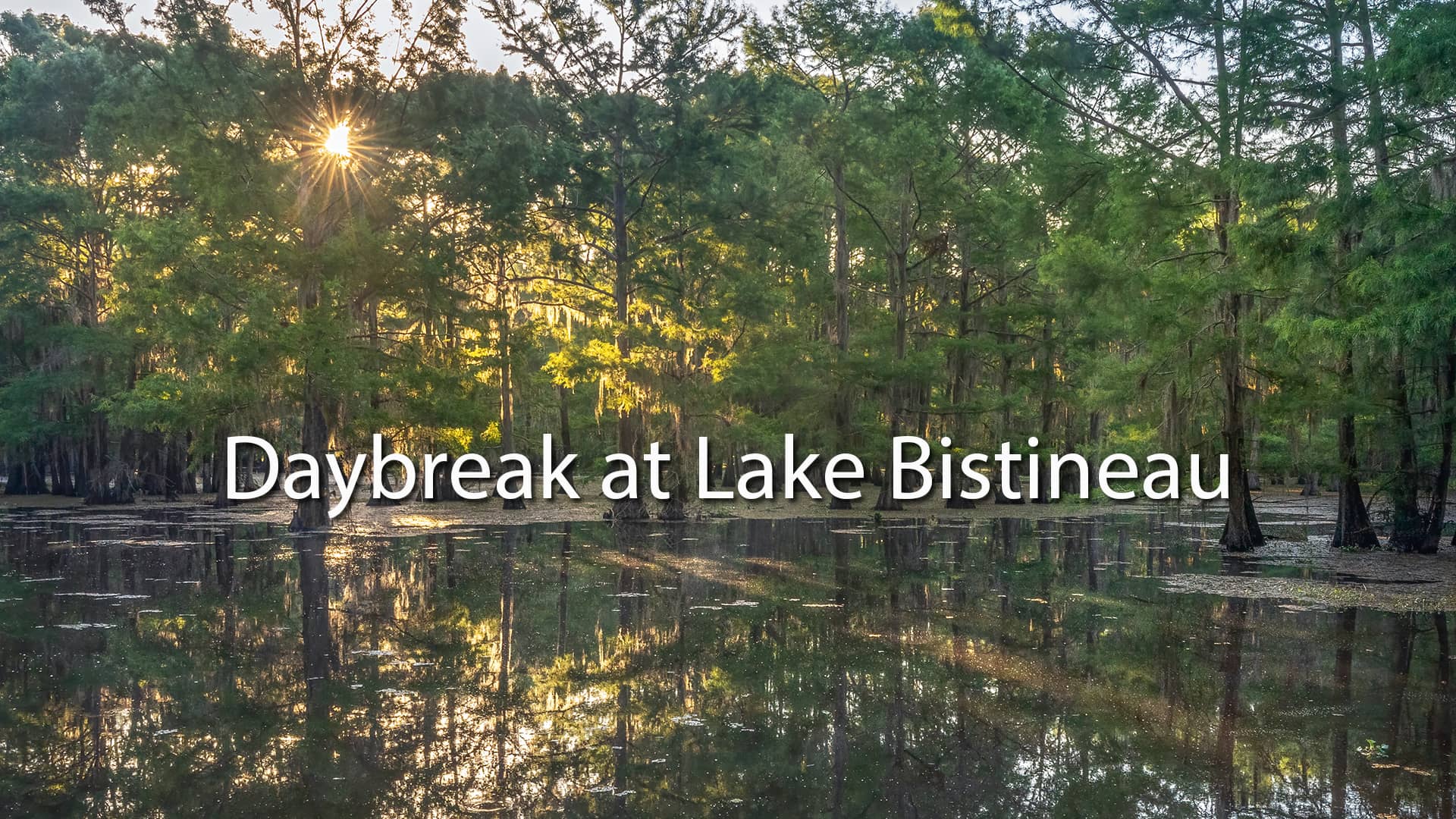 Daybreak at Louisiana's Lake Bistineau State Park on Vimeo