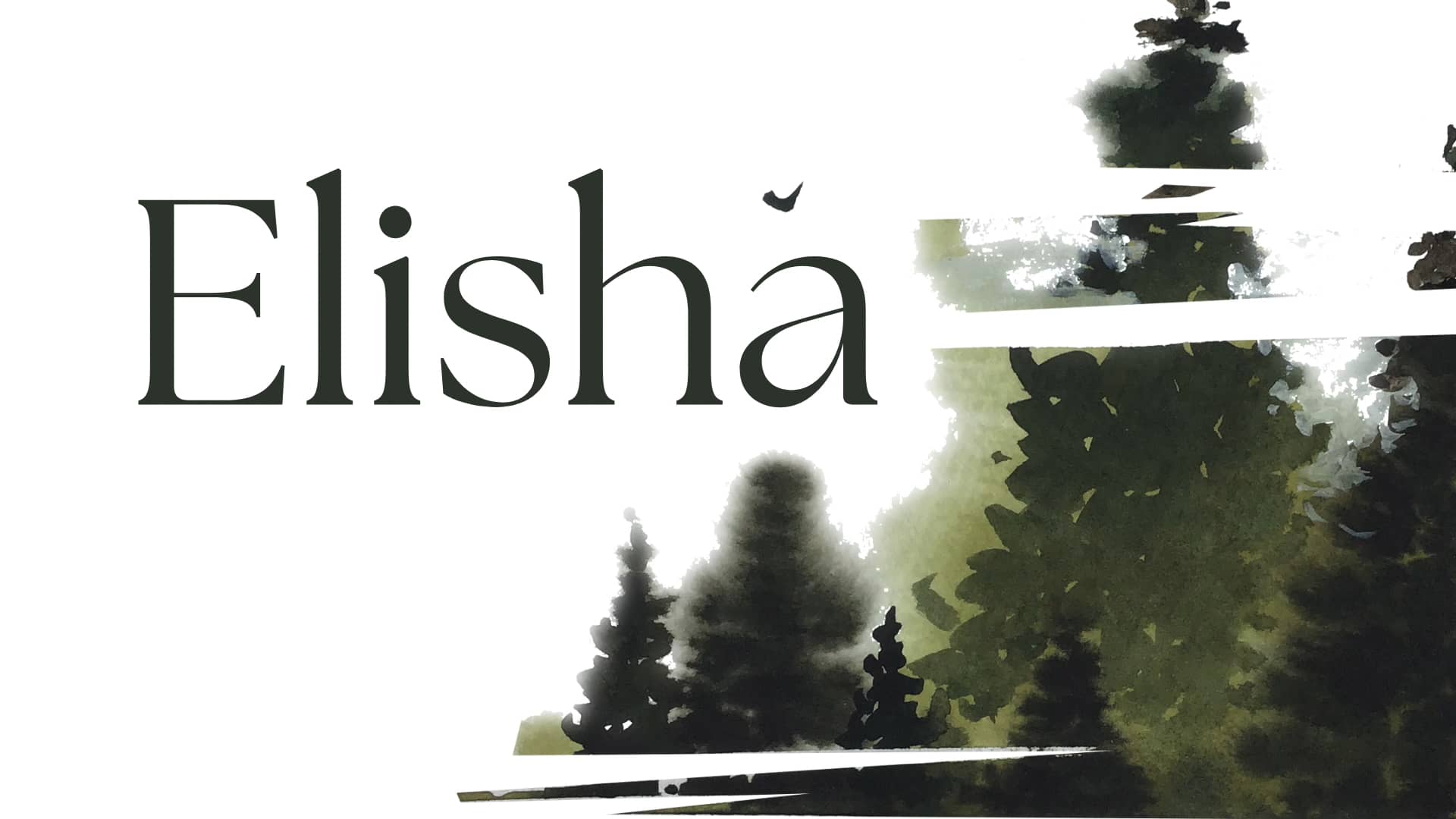 Elisha: Sermon 7-31-22 on Vimeo