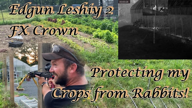 Rabbit Hunting with Airguns / Edgun Leshiy 2 / FX Crown / Zan Slugs ...
