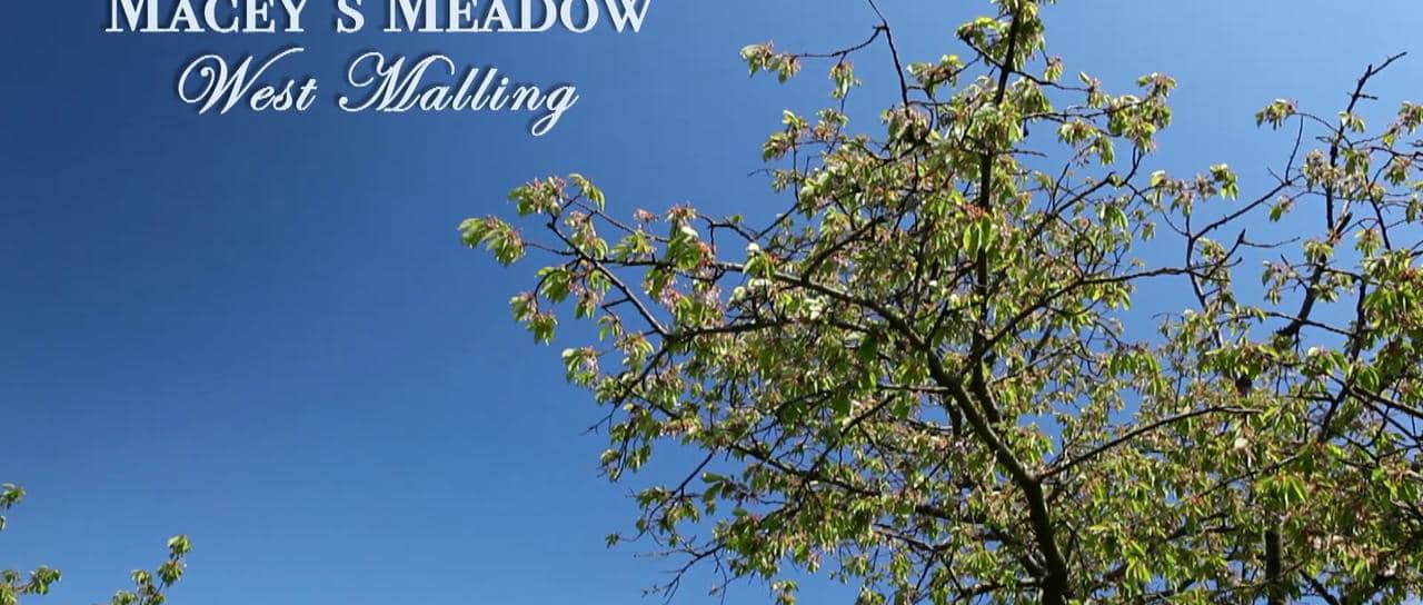 Macey's Meadow, West Malling on Vimeo