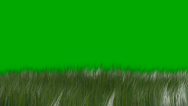 Grass Lawn Garden - Free video on Pixabay