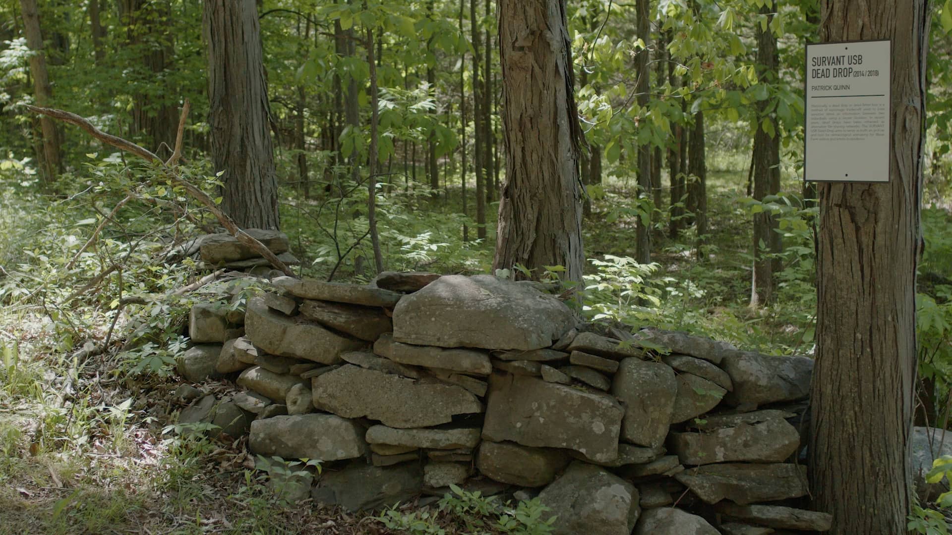 SURVANT USB Dead Drop, Patrick Quinn (2014/2018) on Vimeo