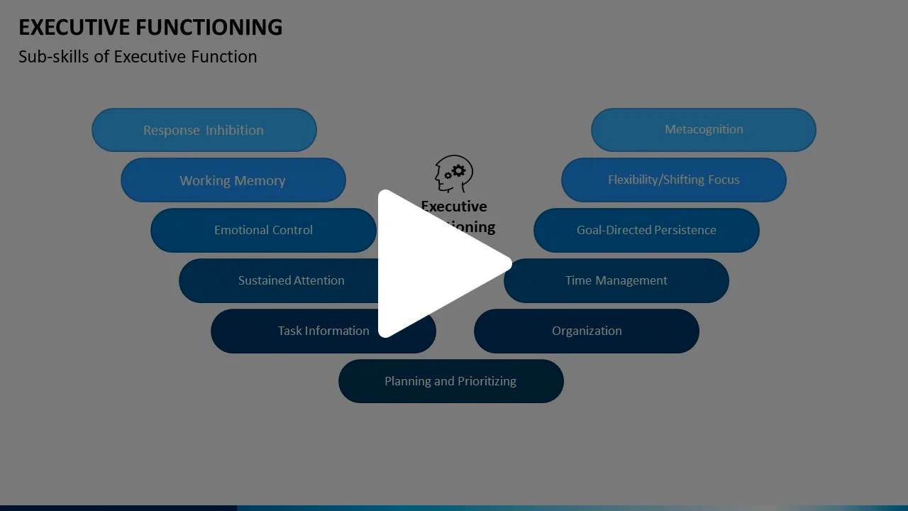 Executive Functioning Animated Presentation - SketchBubble on Vimeo