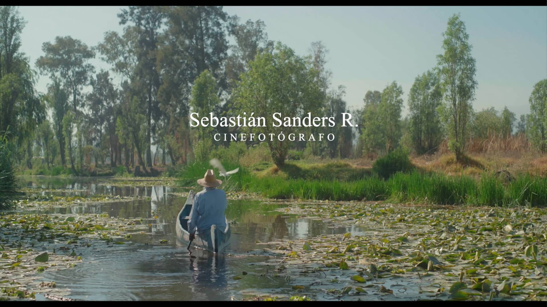 Cinefotógrafo: Sebastián Sanders R. on Vimeo