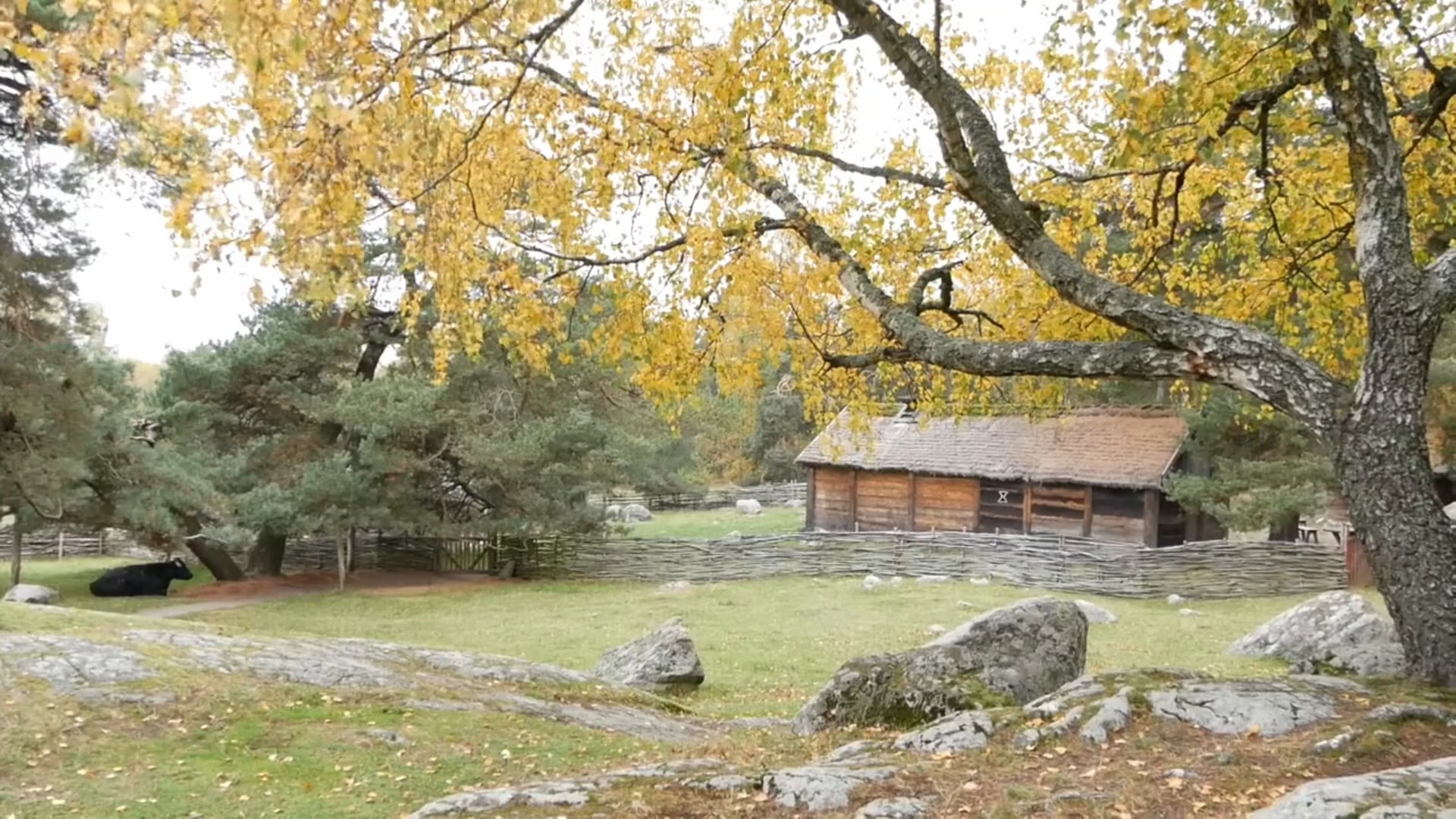 Astrid och Ivar, text och musik on Vimeo