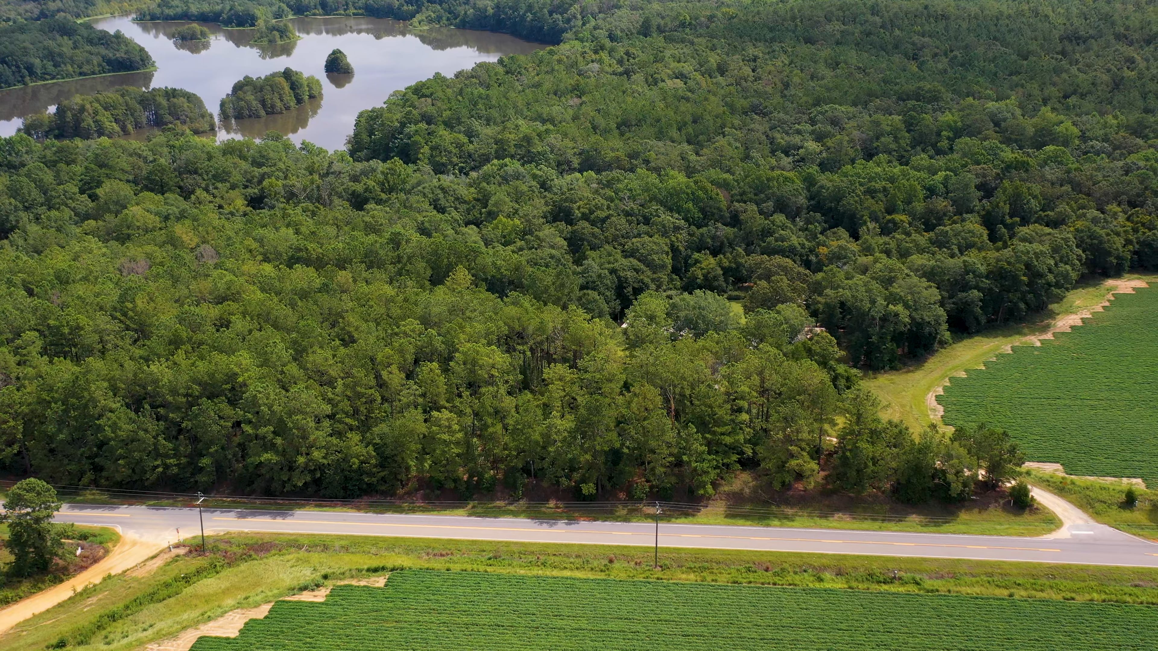 Pataula Creek 2.mp4 on Vimeo