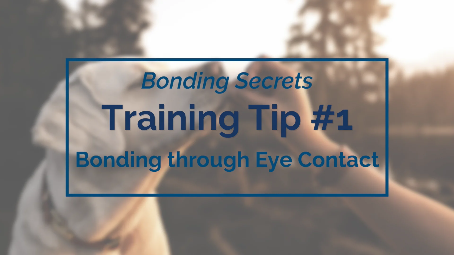 Bonding Secrets - Bonding Secret 1 on Vimeo