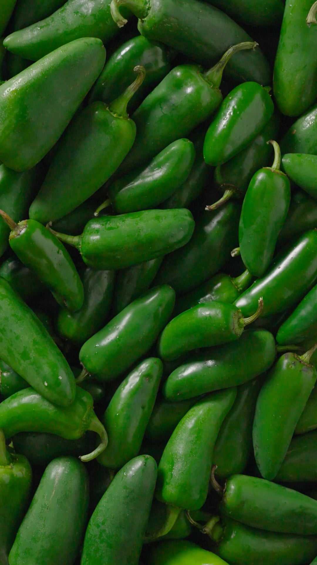 Spicy Sausage on Vimeo