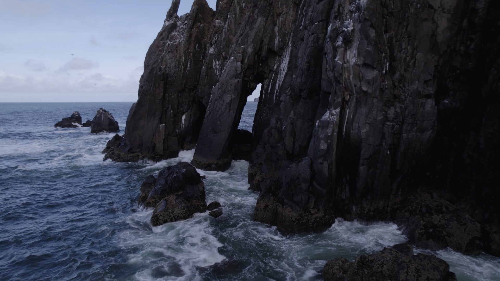 Nature Reel.mp4 on Vimeo