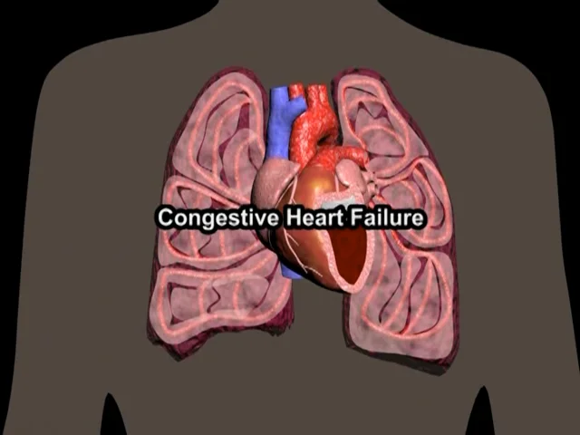 Pulmonary Circulation Animation