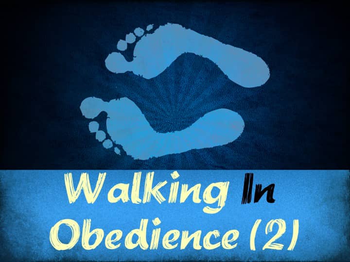 Walking In Obedience 2 on Vimeo