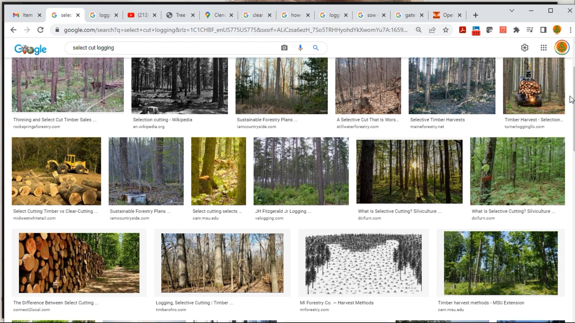 Logging and Hunting Leases Short on Vimeo