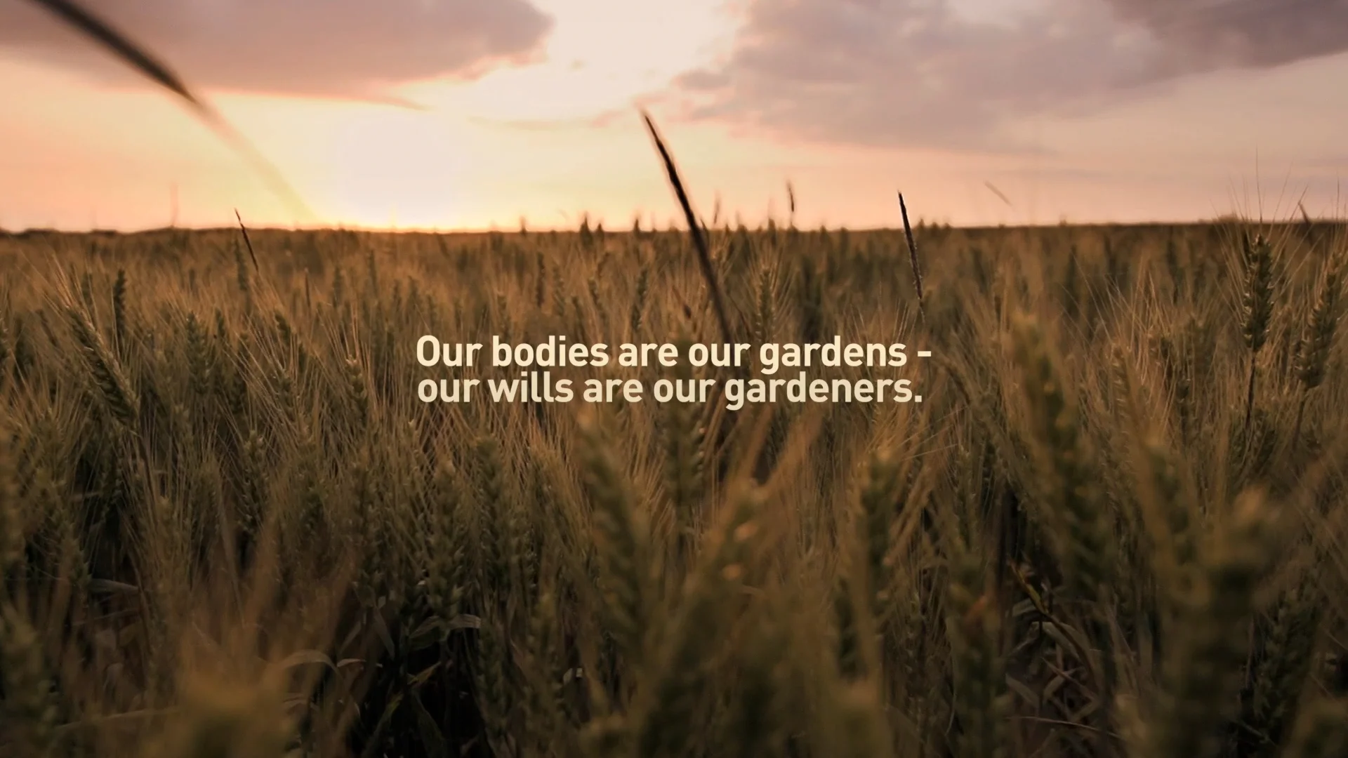 PIVIO Collection - The Story of Us.mp4 on Vimeo