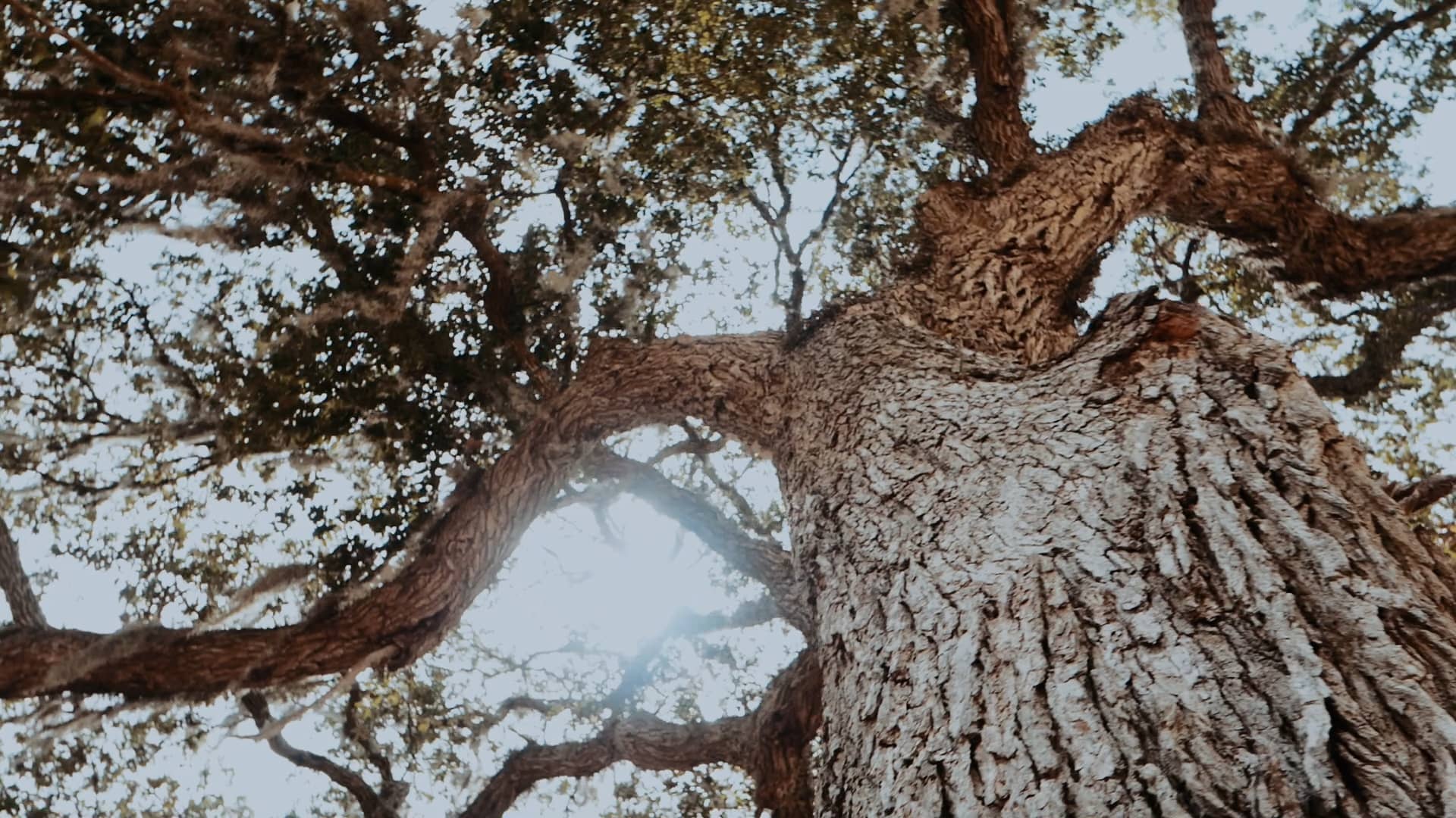 Jason- Madison Teaser on Vimeo