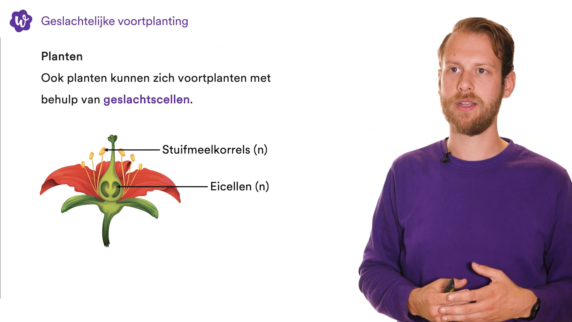 Geslachtelijke voortplanting | StudyGo