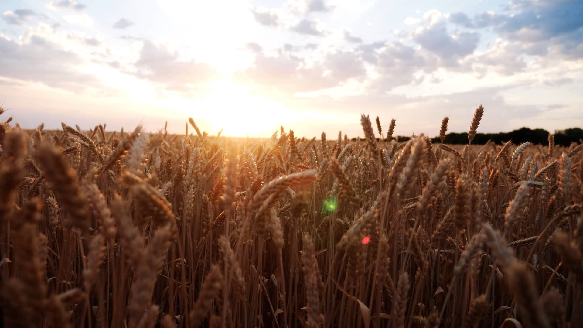 Find Your Gold Life on Vimeo