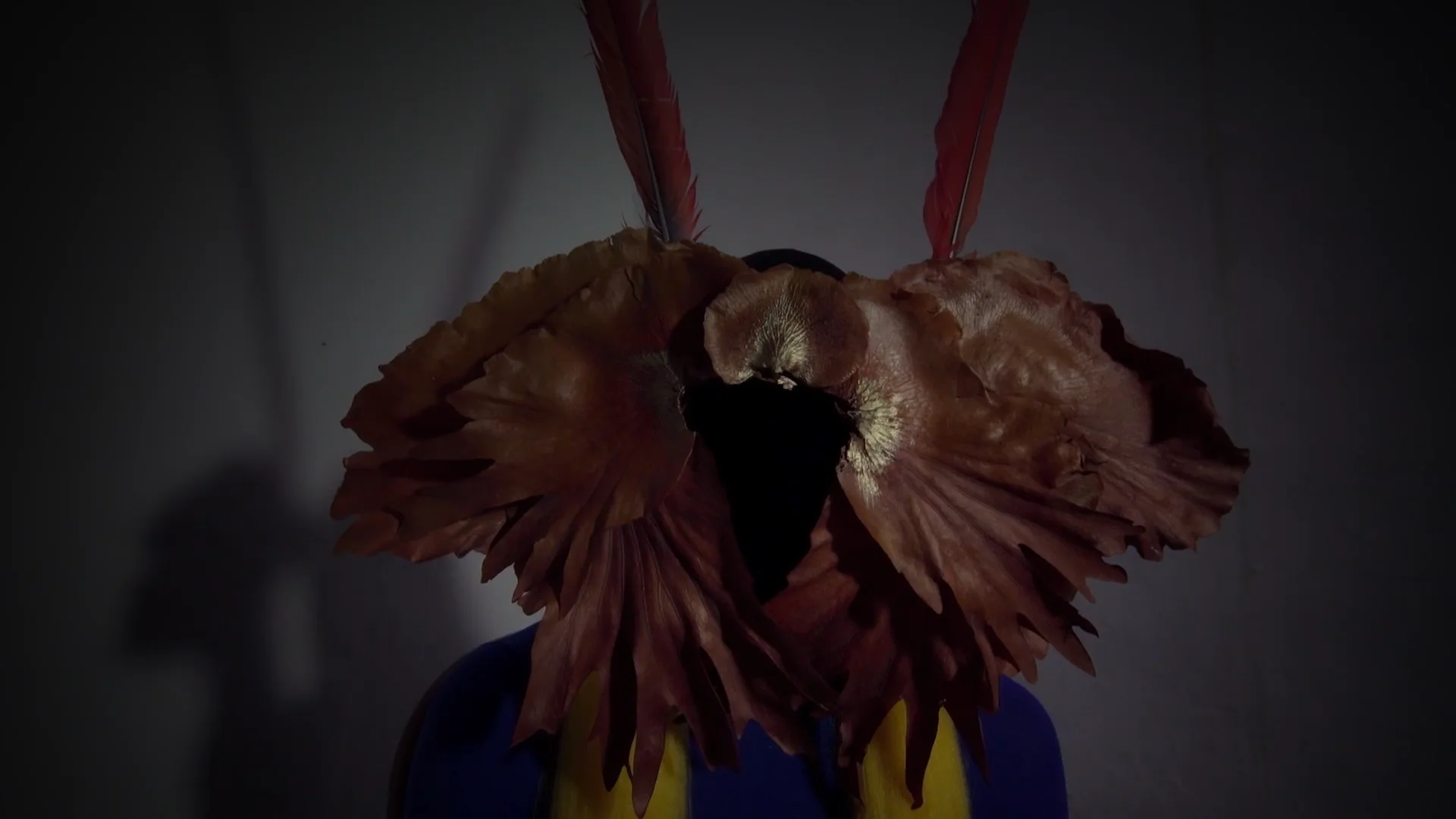 Aribada Trailer on Vimeo