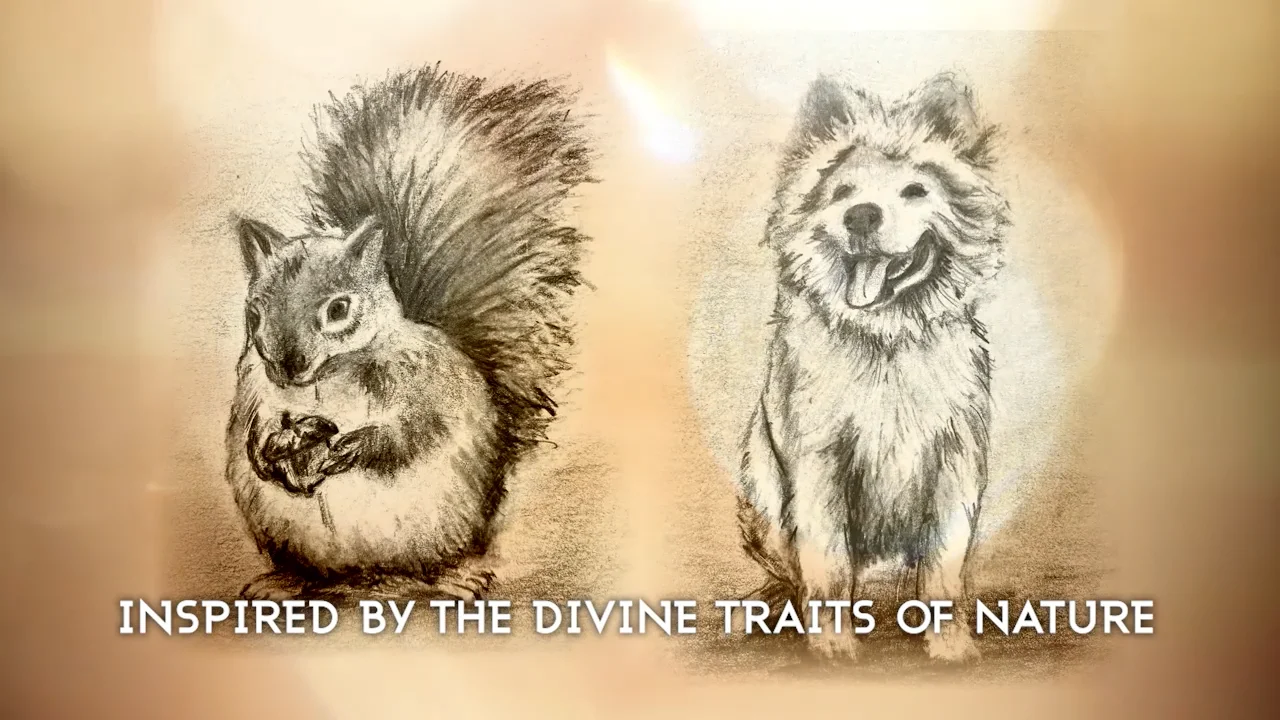 Encounters with Animals by Barbara Linder on Vimeo