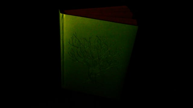 Spellbook, Notebook, Book. Free Stock Video - Pixabay