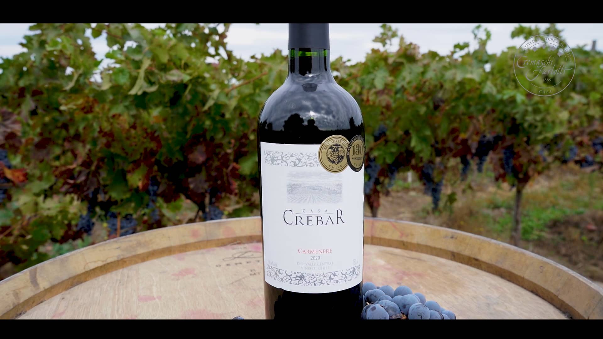 Casa Crebar Carmenere.mp4 on Vimeo