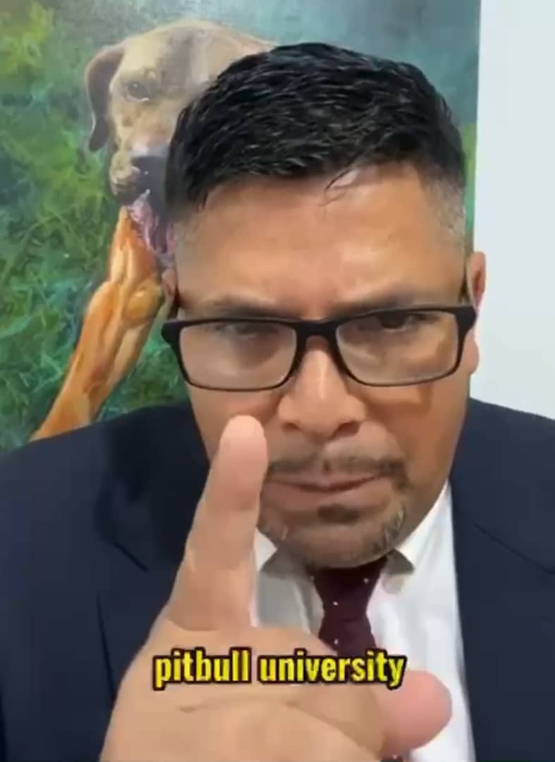 What is a fake pitbull ? The GPS on Vimeo