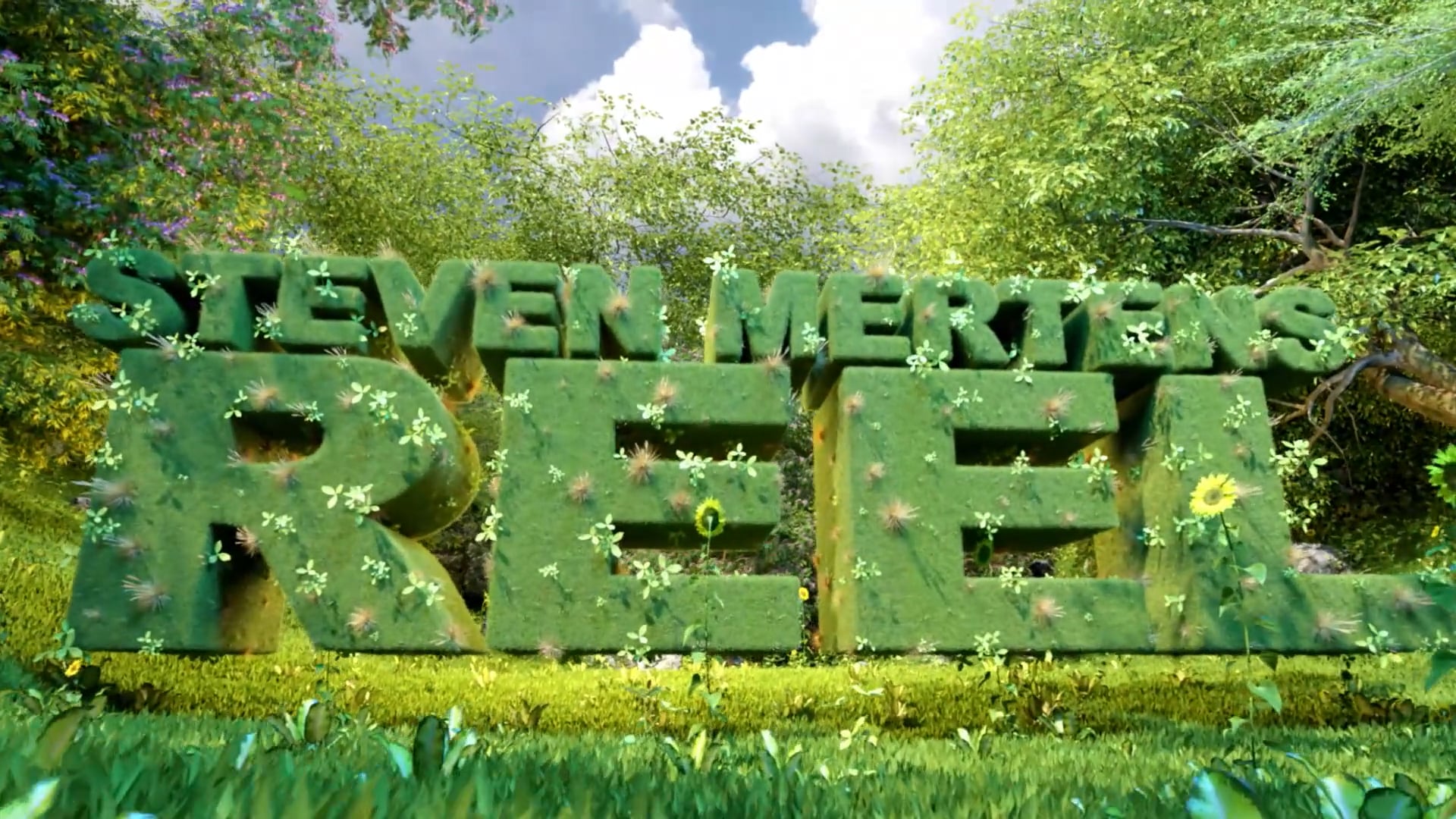 Steven Mertens - Reel on Vimeo