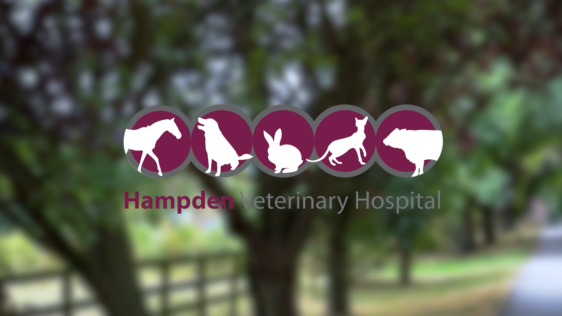 Hampden Veterinary Hospital on Vimeo