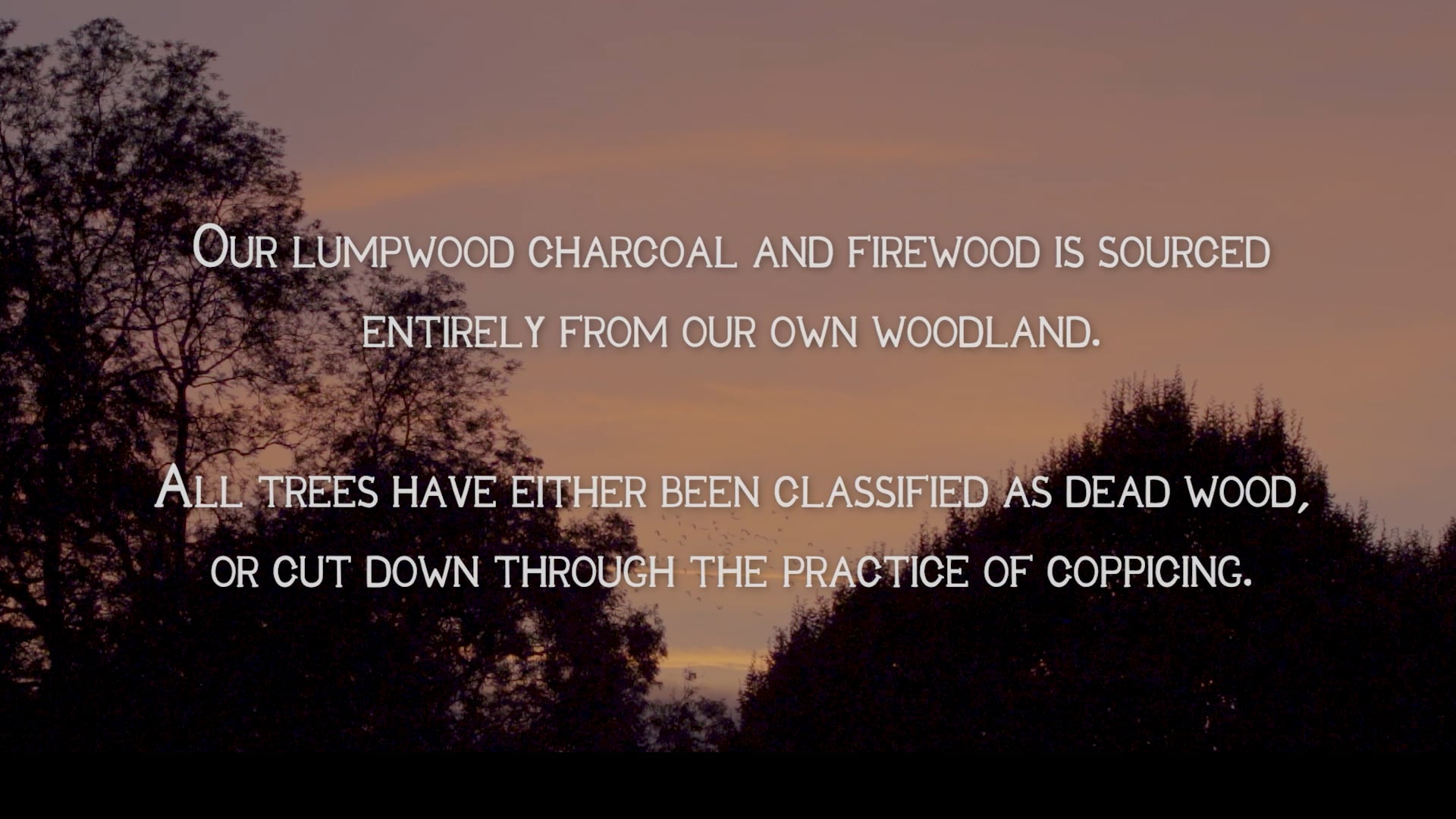 Cashmere Caveman Charcoal on Vimeo