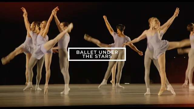 Ant Farm Ballet Dantser