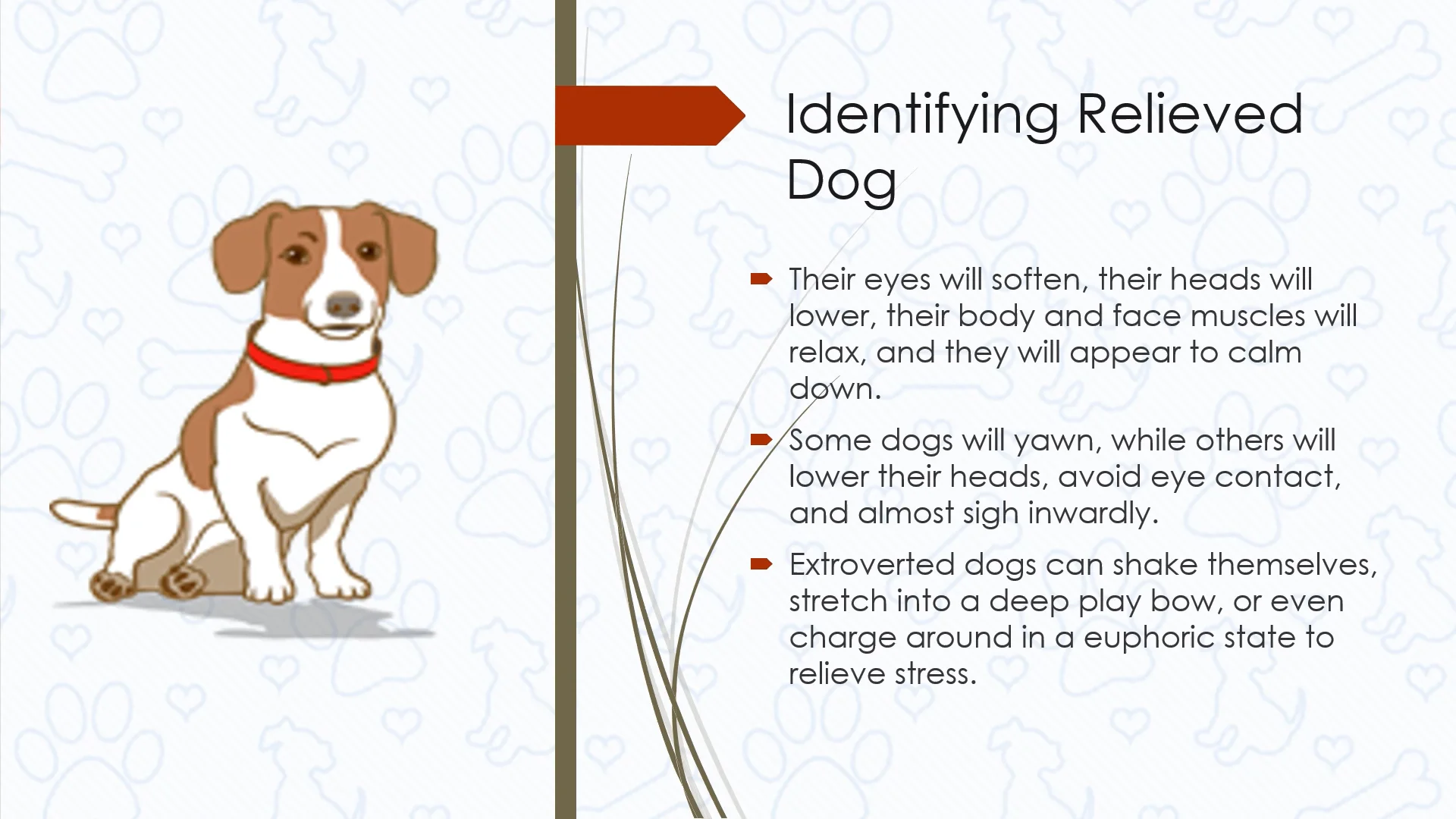 10 Identifying Relieved Dog on Vimeo