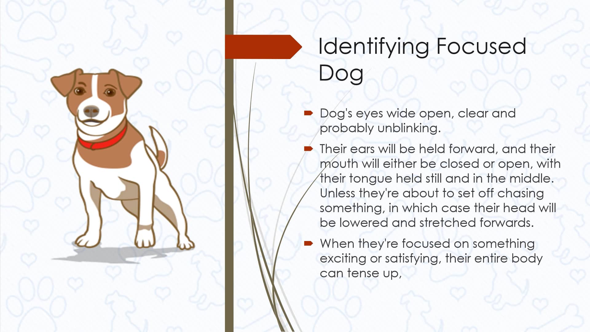 11 Identifying Focused Dog on Vimeo