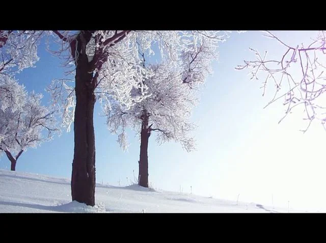 Winter Always Turns To Spring on Vimeo