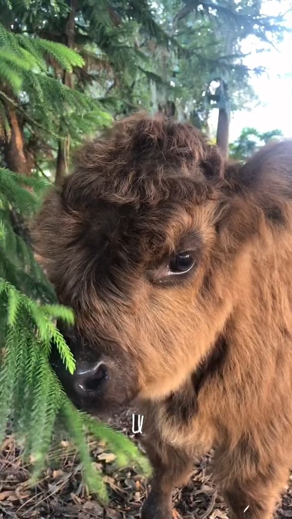 He’s already spoken for. on Vimeo