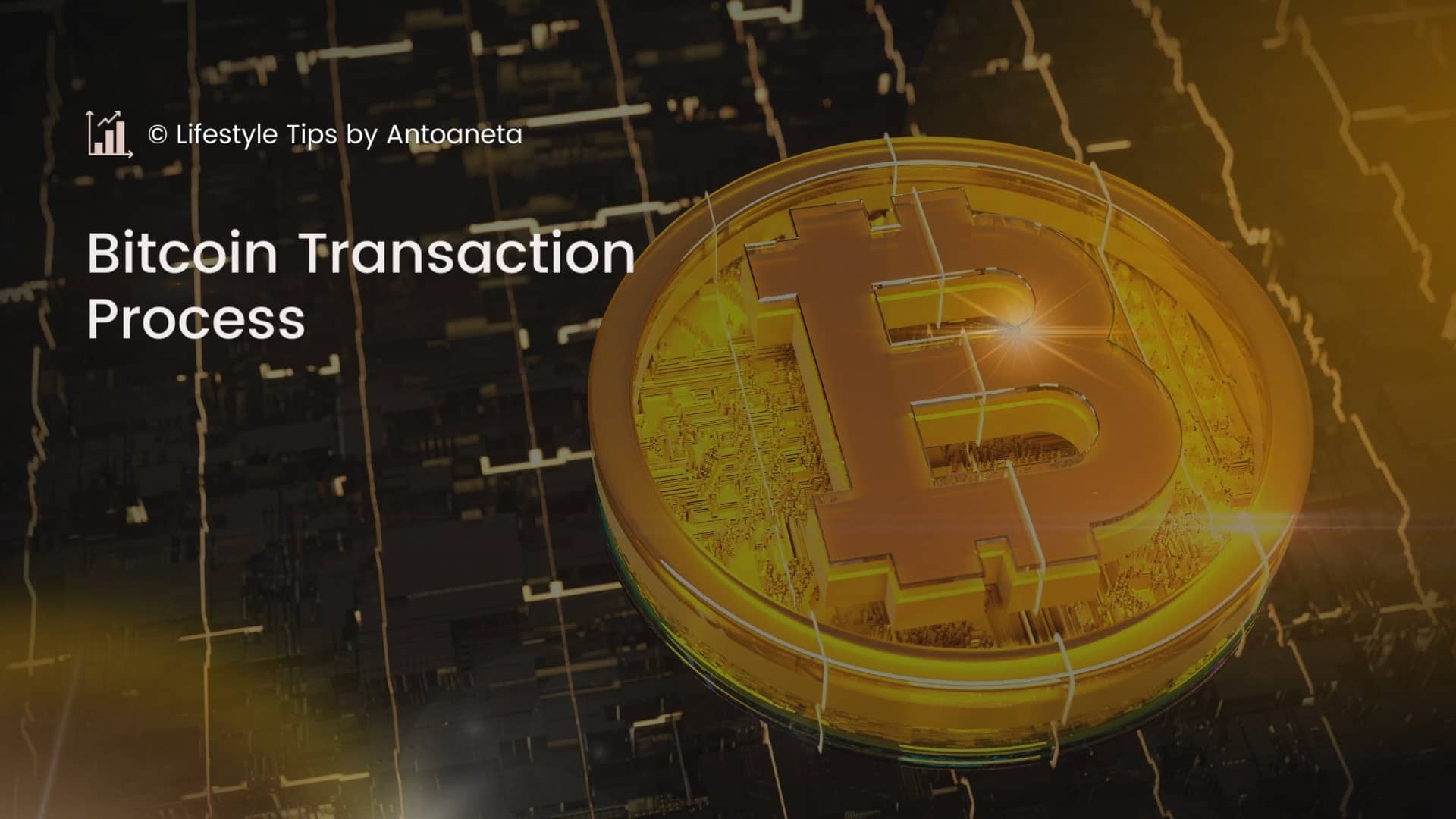 15 Bitcoin Transaction Process on Vimeo