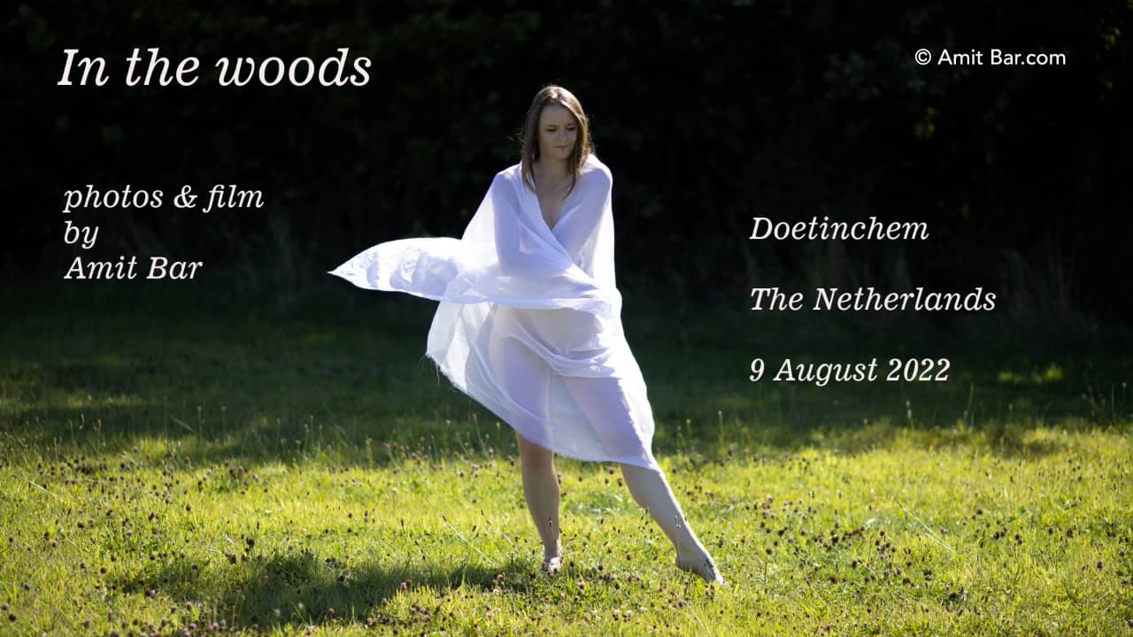 In the woods by Amit Bar on Vimeo