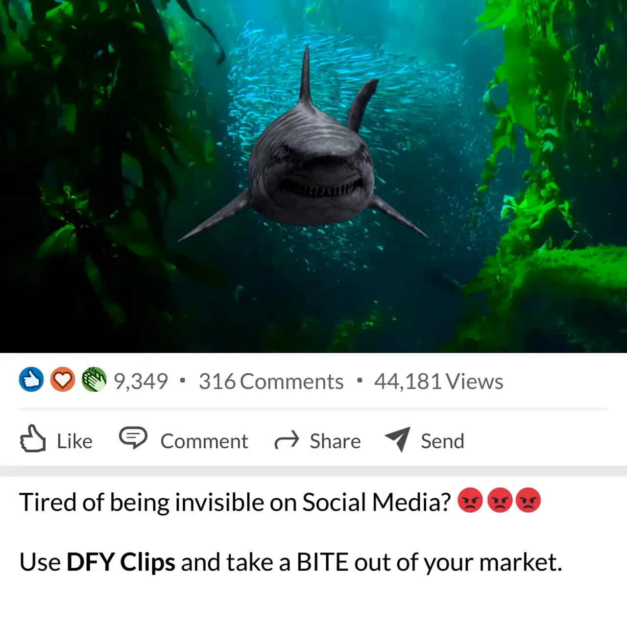 Shark Sample Looped.mp4 on Vimeo