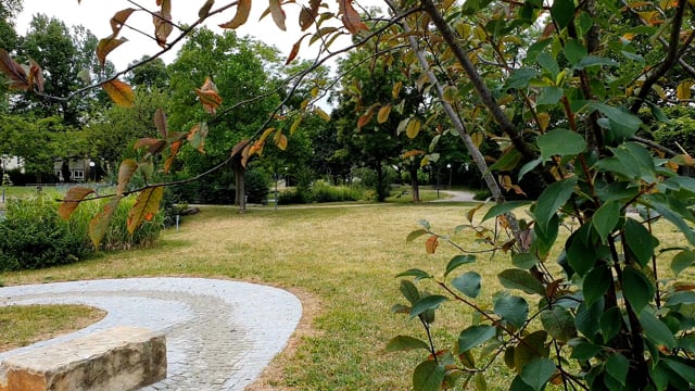 Parque Prado Plantas - Free video on Pixabay - Pixabay