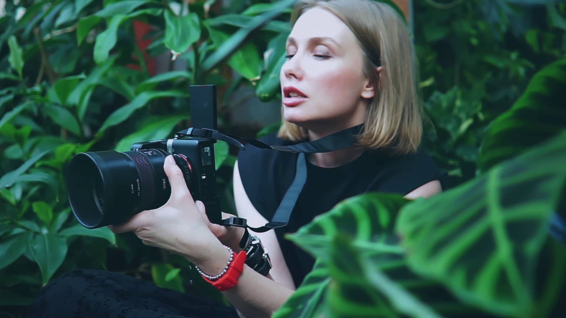 Secret Garden on Vimeo