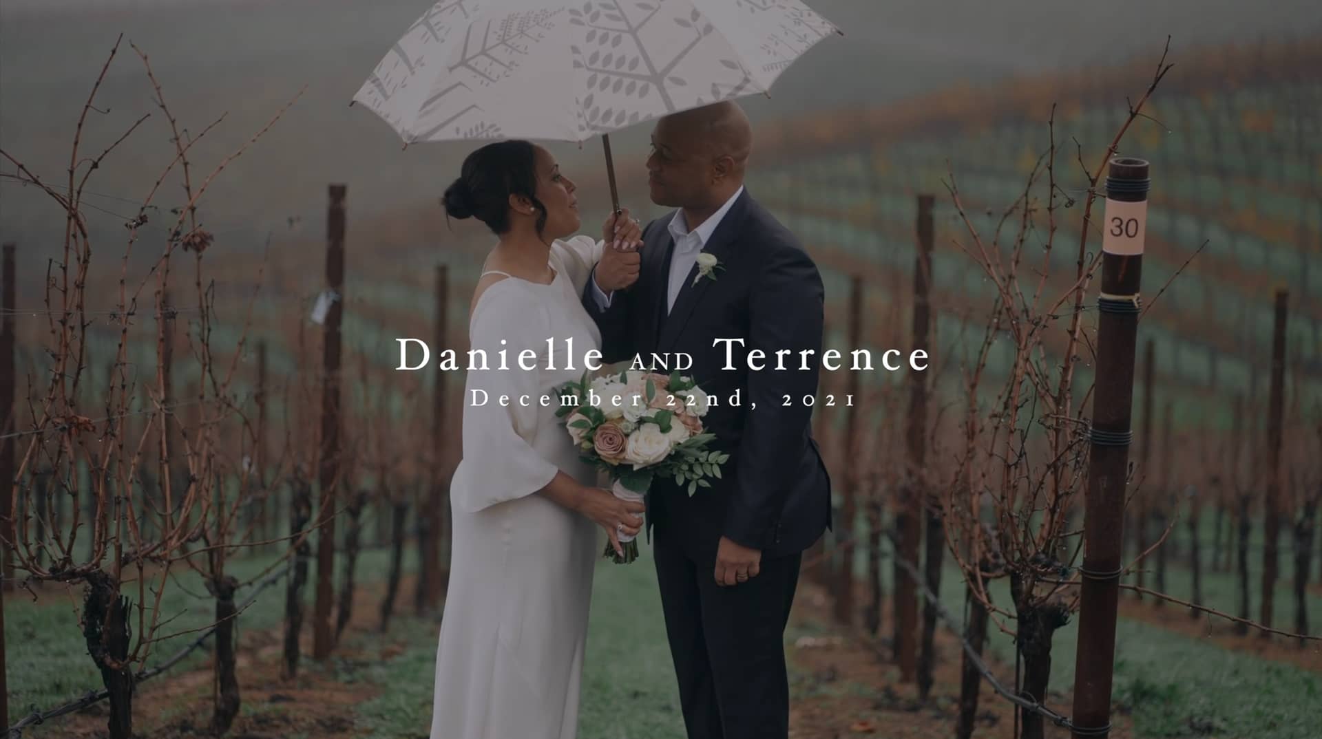 Danielle + Terrence on Vimeo