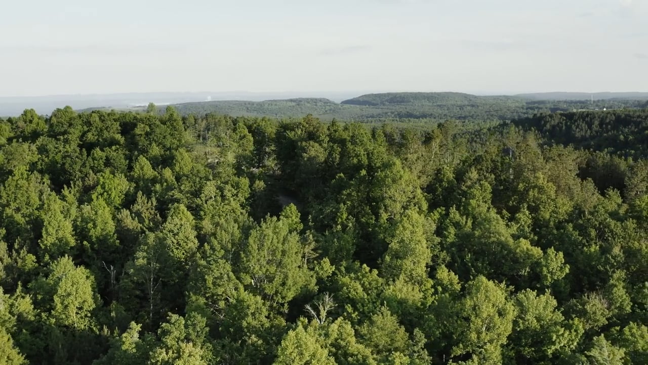 Landscape -.mp4 on Vimeo