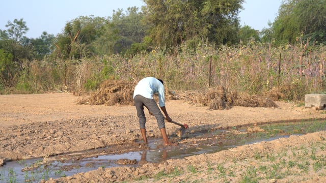 Indian Village Farm Free Stock Video - Pixabay