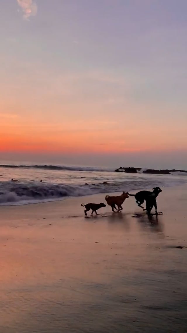 Fergus Obrien on Vimeo