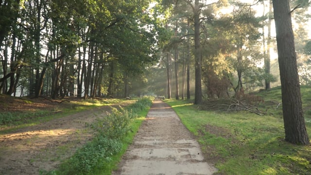 Ruby Lambert on Vimeo