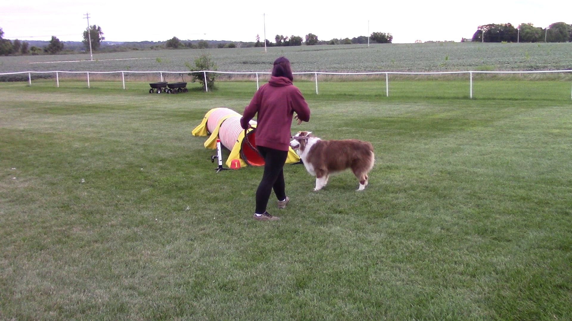 Amber & Scout - Intro Tunnelers 2 on Vimeo