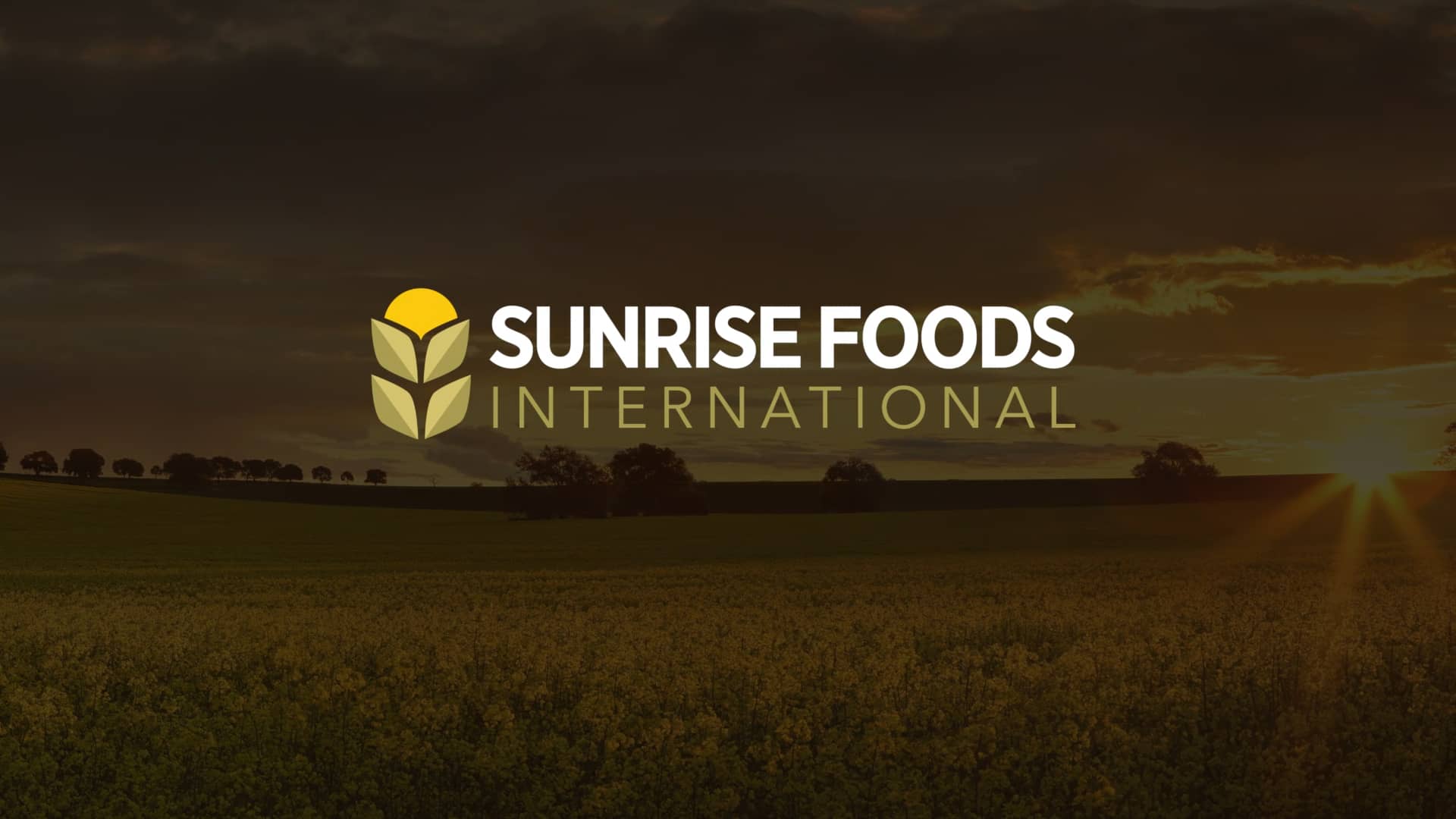 Sunrise Foods International - Supply Chain on Vimeo