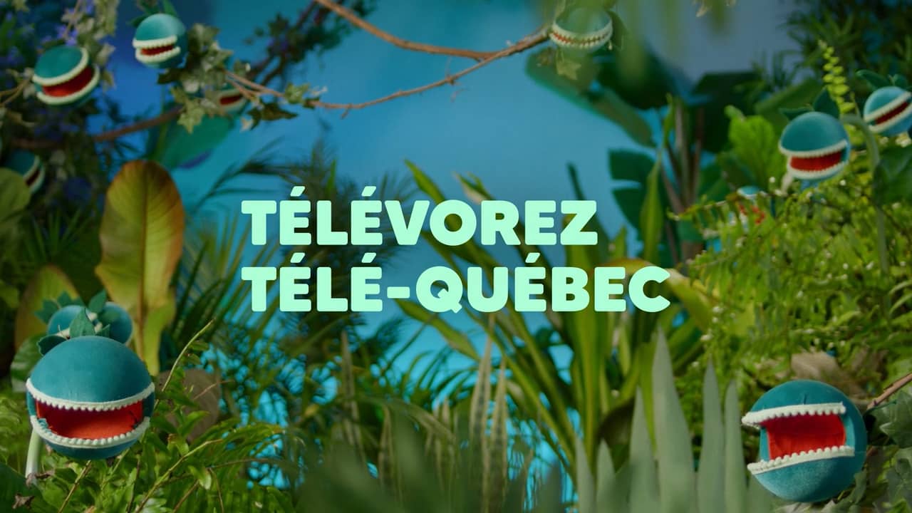 TELEVOREZ Télé-Québec on Vimeo