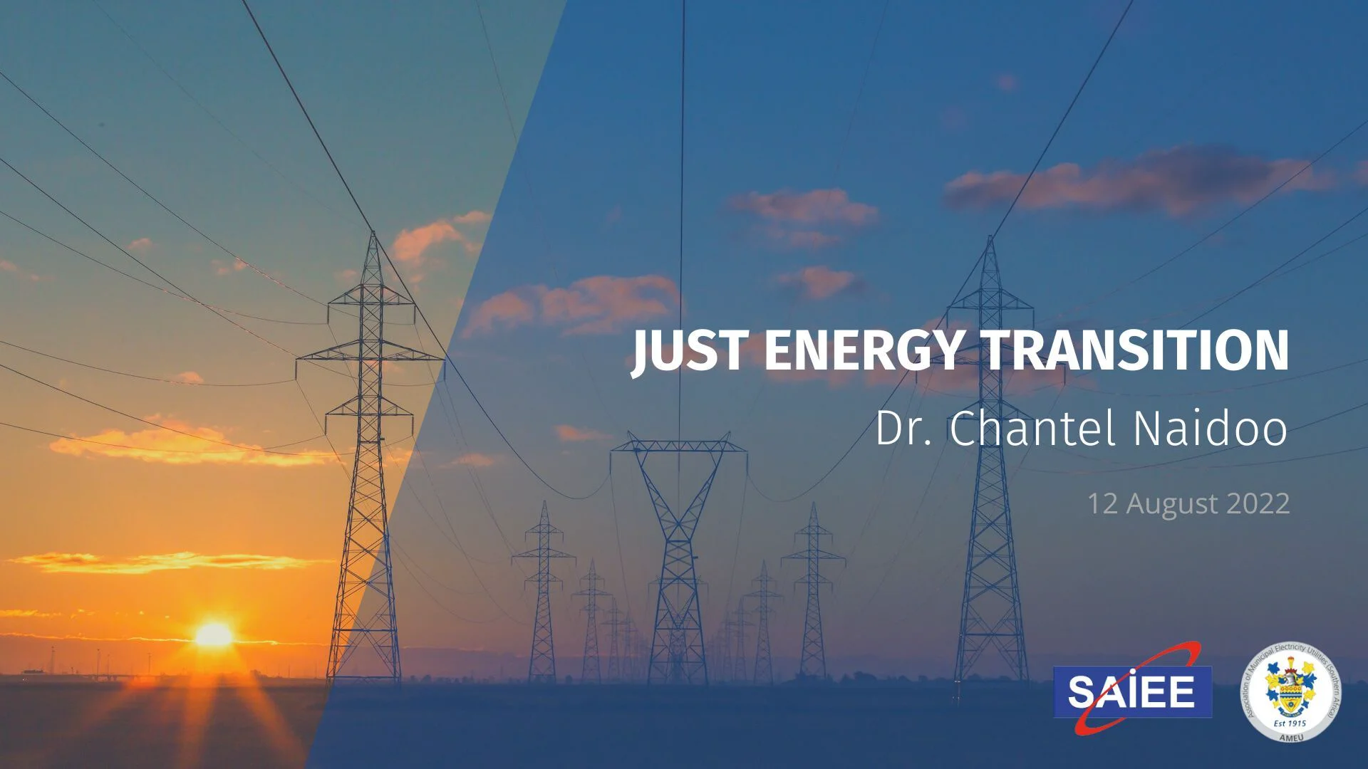 AMEU SAIEE - Session 2 - Dr Chantel Naidoo on Vimeo