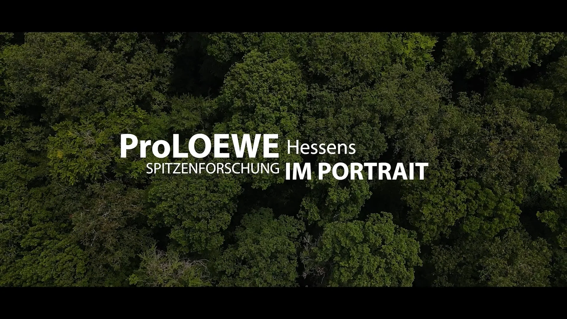 Imagefilm-ProLOEWE on Vimeo